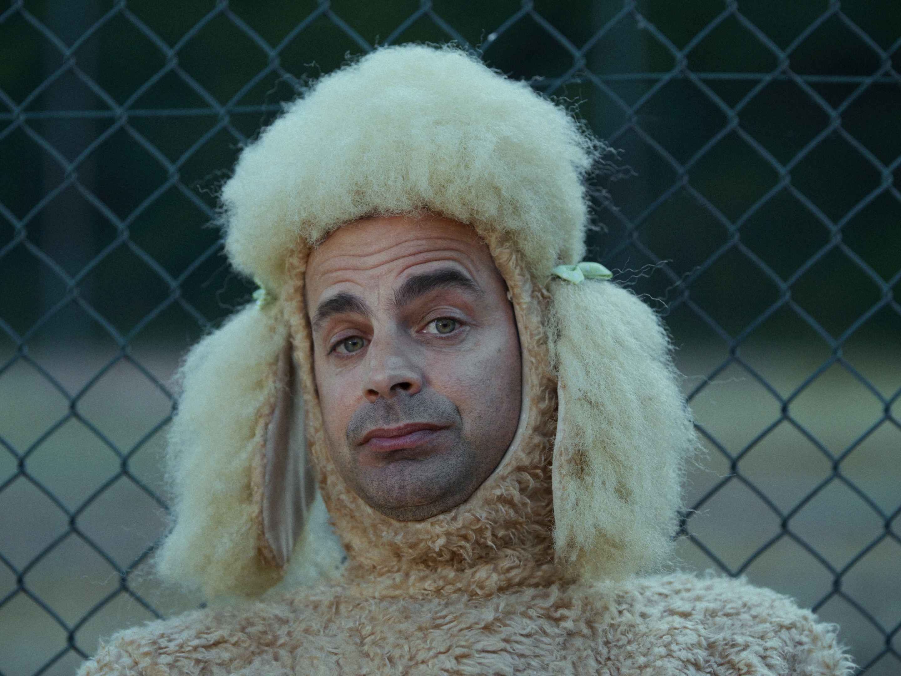 CANIS FAMILIARIS – milgram