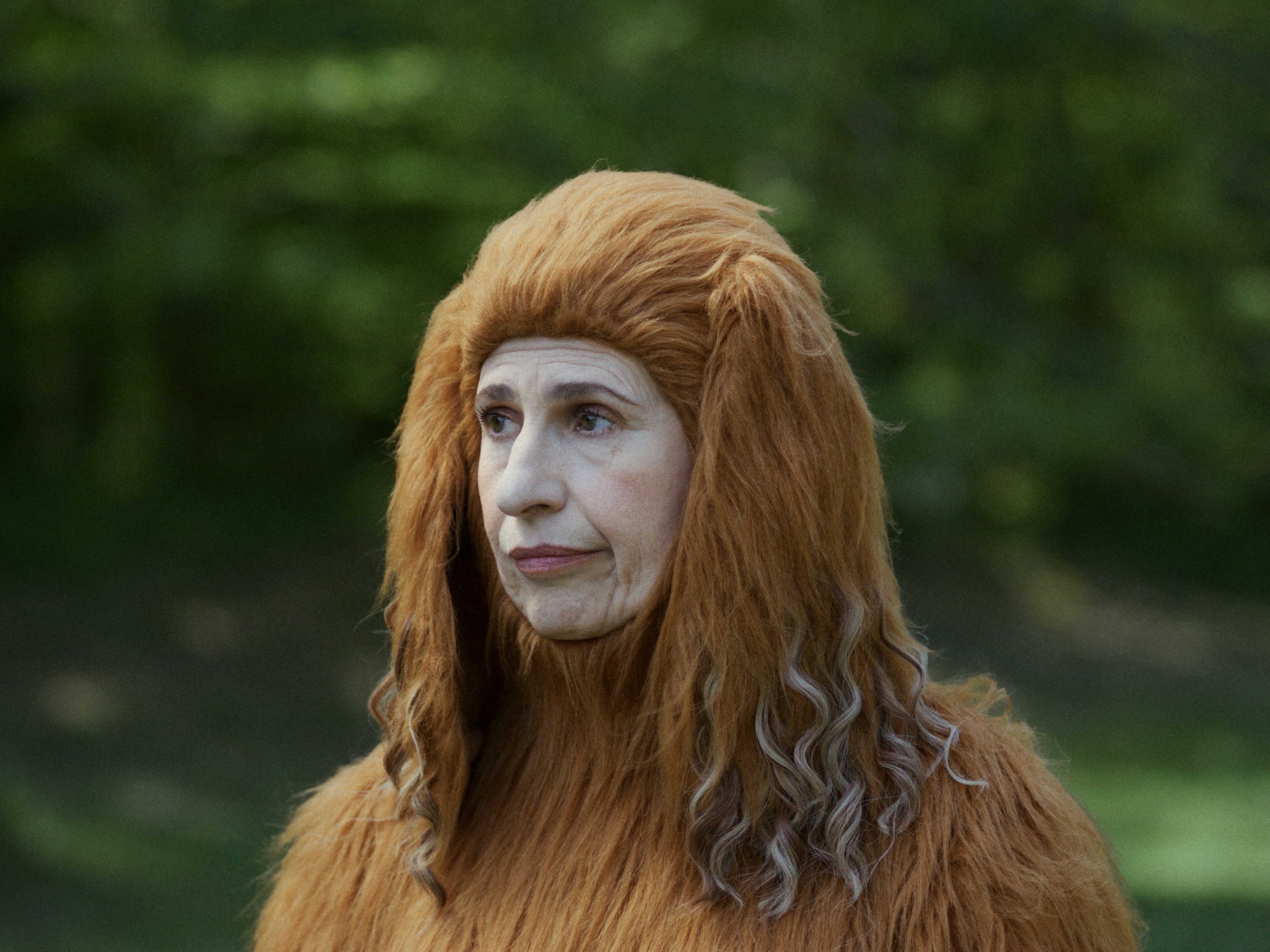 CANIS FAMILIARIS – milgram